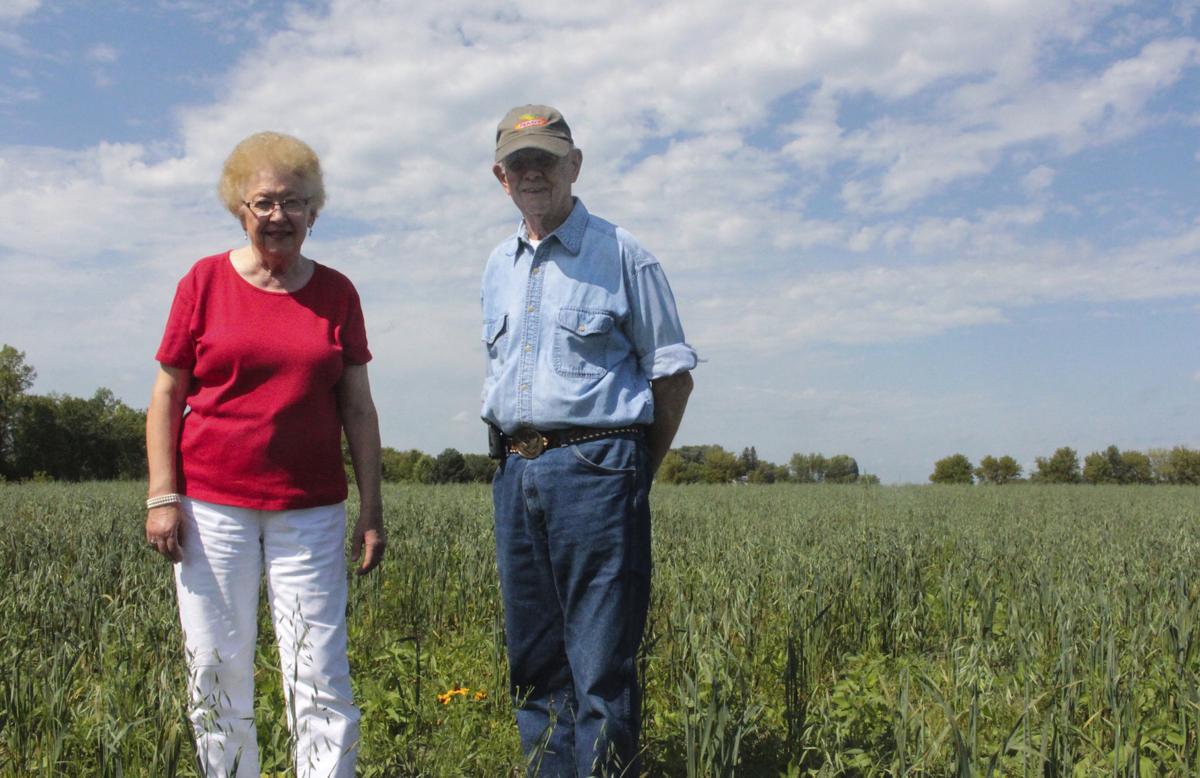 Minnesota couple works to restore native plants on 100 acres