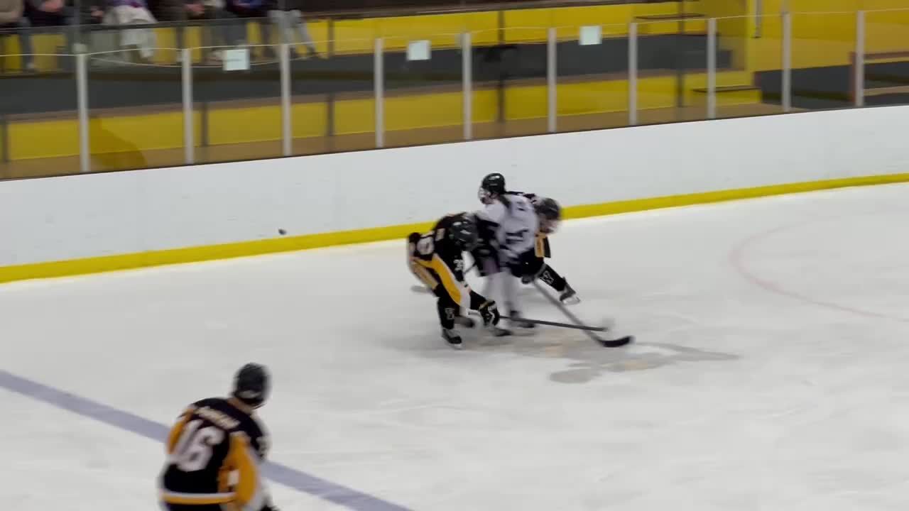 Rushmore Thunder hockey in Rapid City having special season