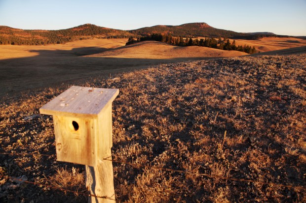 Pe' Sla Prairie | Local | rapidcityjournal.com