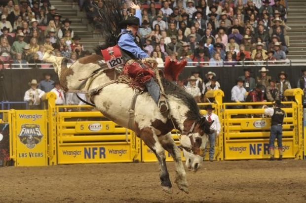 Lunatic Fringe is out there to give world-class rides