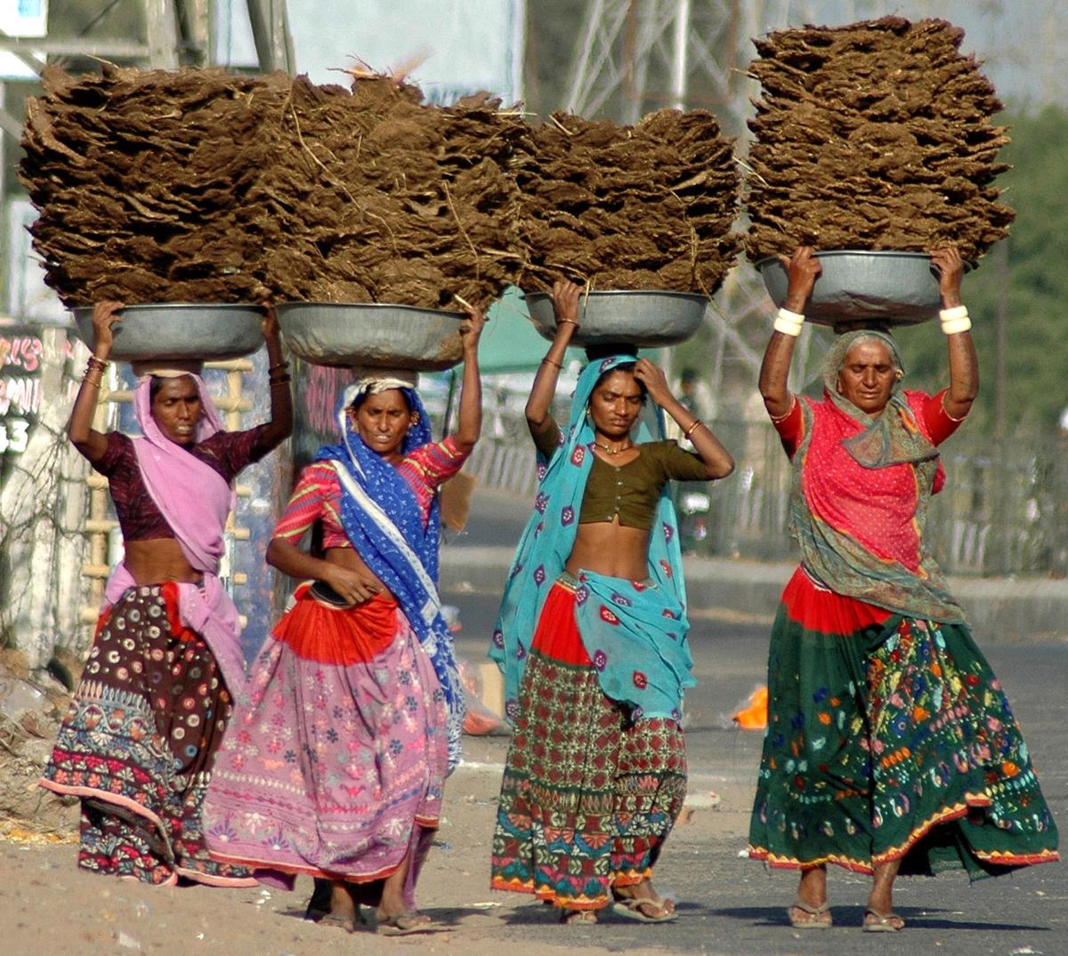 Cow dung patties sell like hot cakes online in India | Business ...