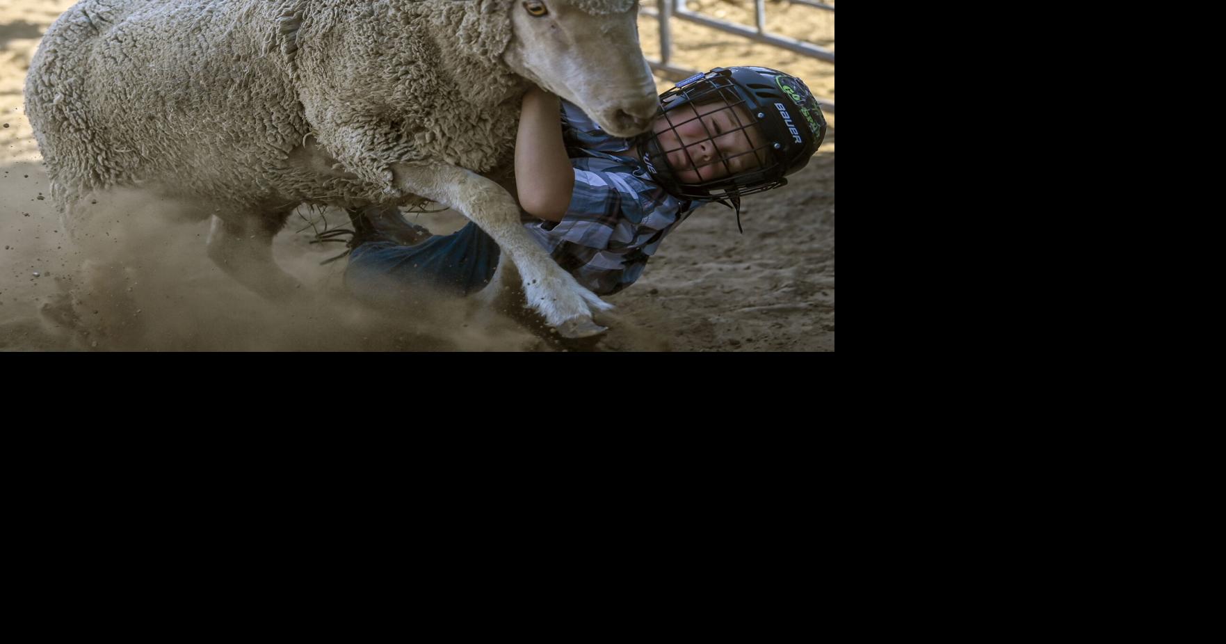 PHOTOS: The Jeff Jundt Memorial Mutton Bustin' championships on Monday