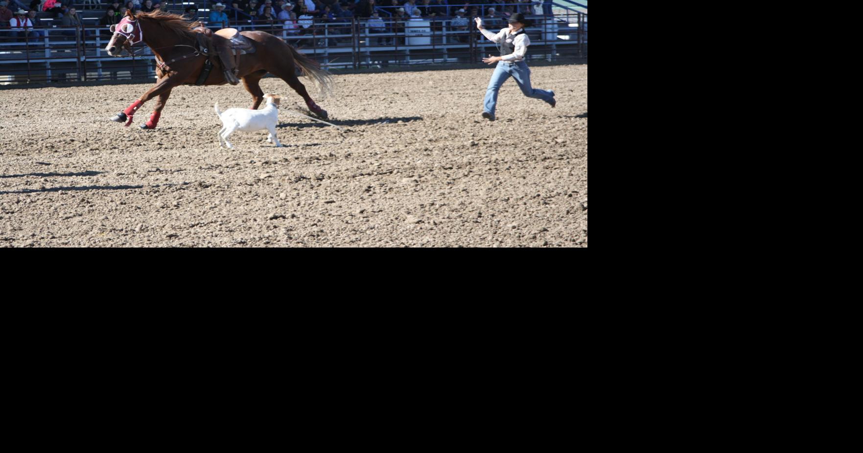 Chadron State entries ride high again at Gillette rodeo