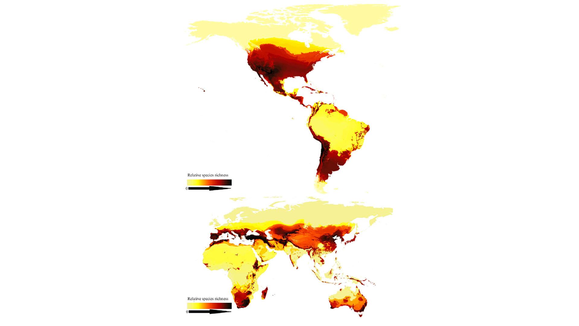 The bee population is dying. Researchers have created first global map ...