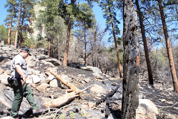 Devils Tower fire shows benefits, risks of prescribed burns