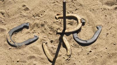 Horseshoes get a ringer