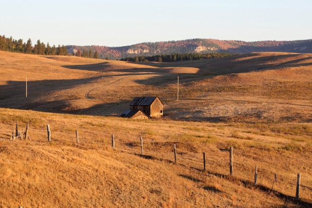 Pe' Sla Prairie | Local | rapidcityjournal.com