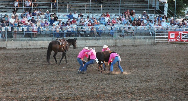 Ranch Rodeo opens rodeo style Roundup events