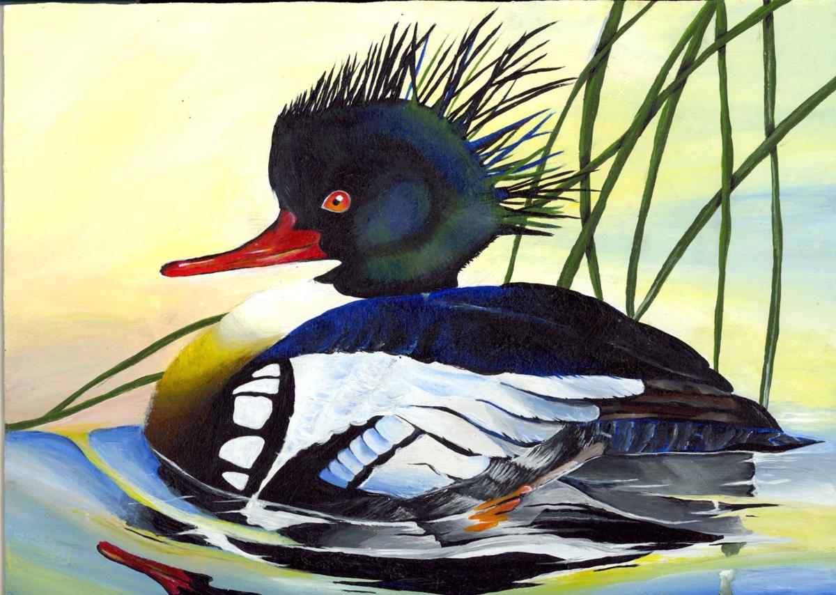 Junior duck stamp contest now open to artistic youngsters | Sports ...