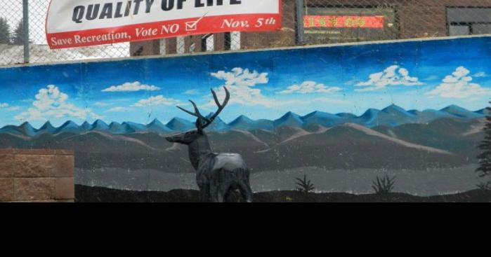 Lead voters hold fate of Handley Rec Center in their hands