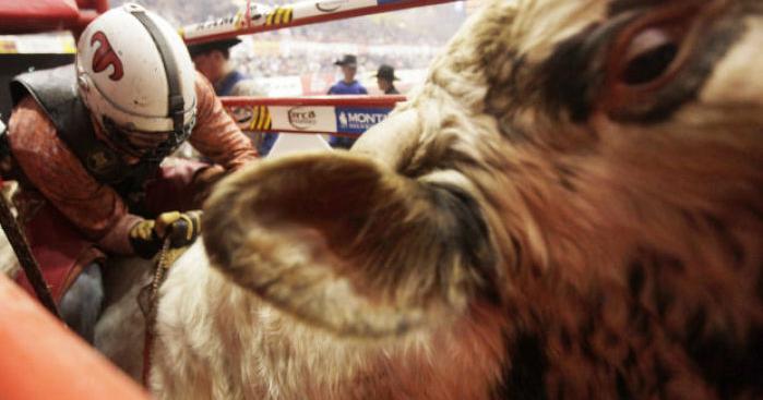 Photos of the month — Benjamin Brayfield