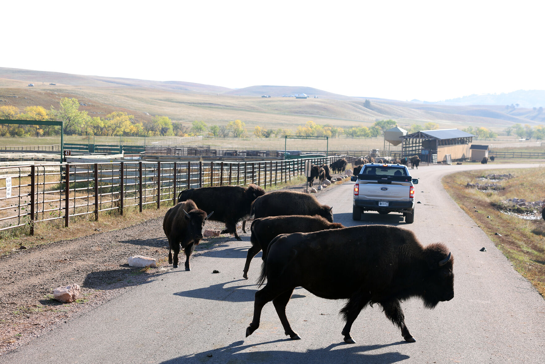 Your Two Cents in the Rapid City Journal for September 27