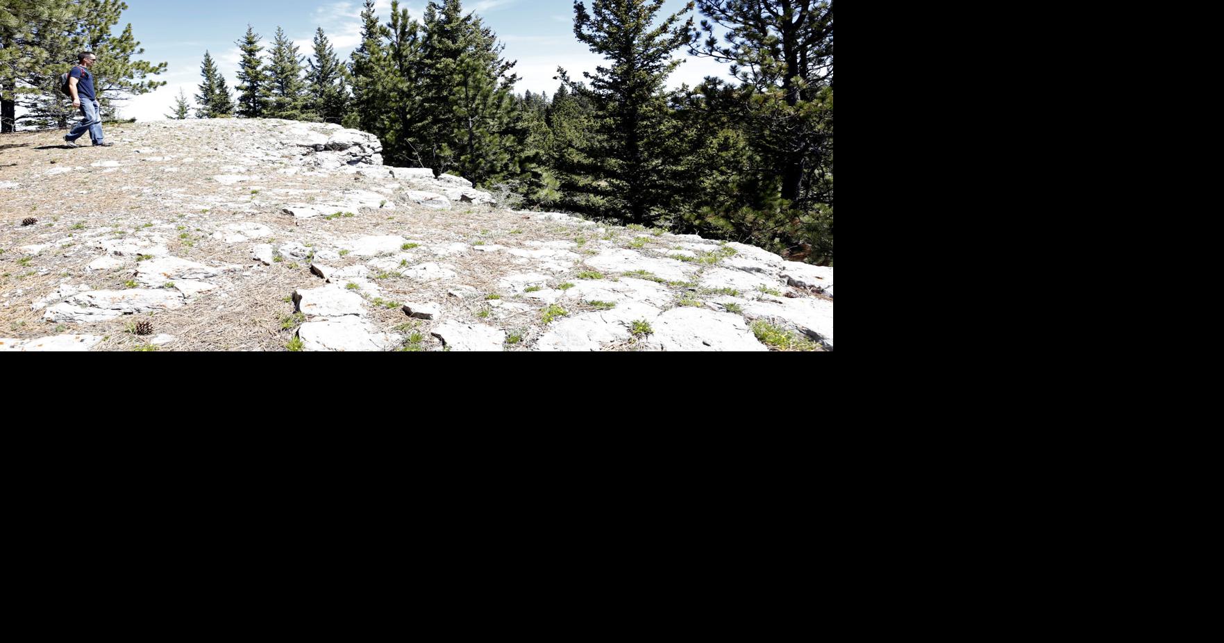 Eight Over Seven: No. 5, Crooks Tower