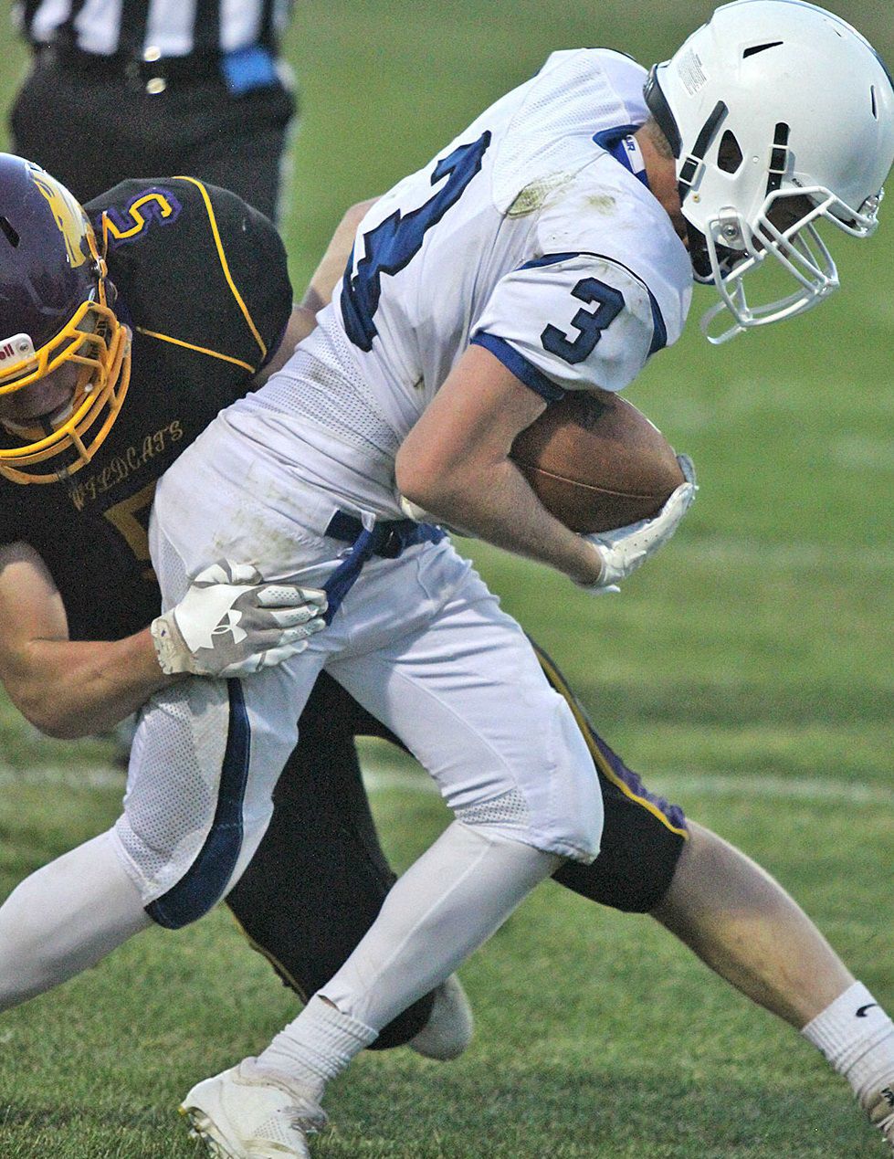 Bison Roll Past Wildcats | News | rapidcityjournal.com