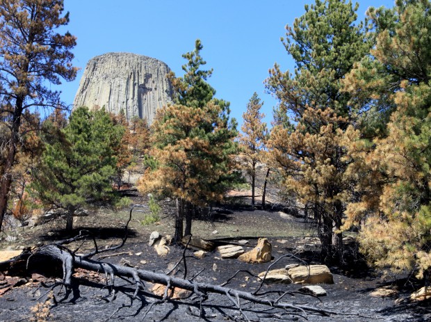 Devils Tower fire shows benefits, risks of prescribed burns
