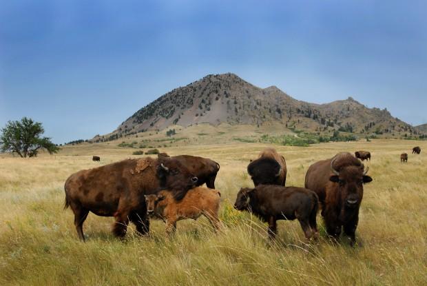 Bear Butte State Park