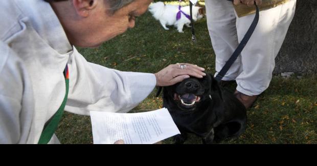 Blessing of animals