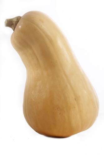 Squash squared, cubed, or pureed -- any way you slice it, it's delicious