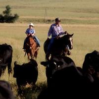 Stearns family receives century farm recognition