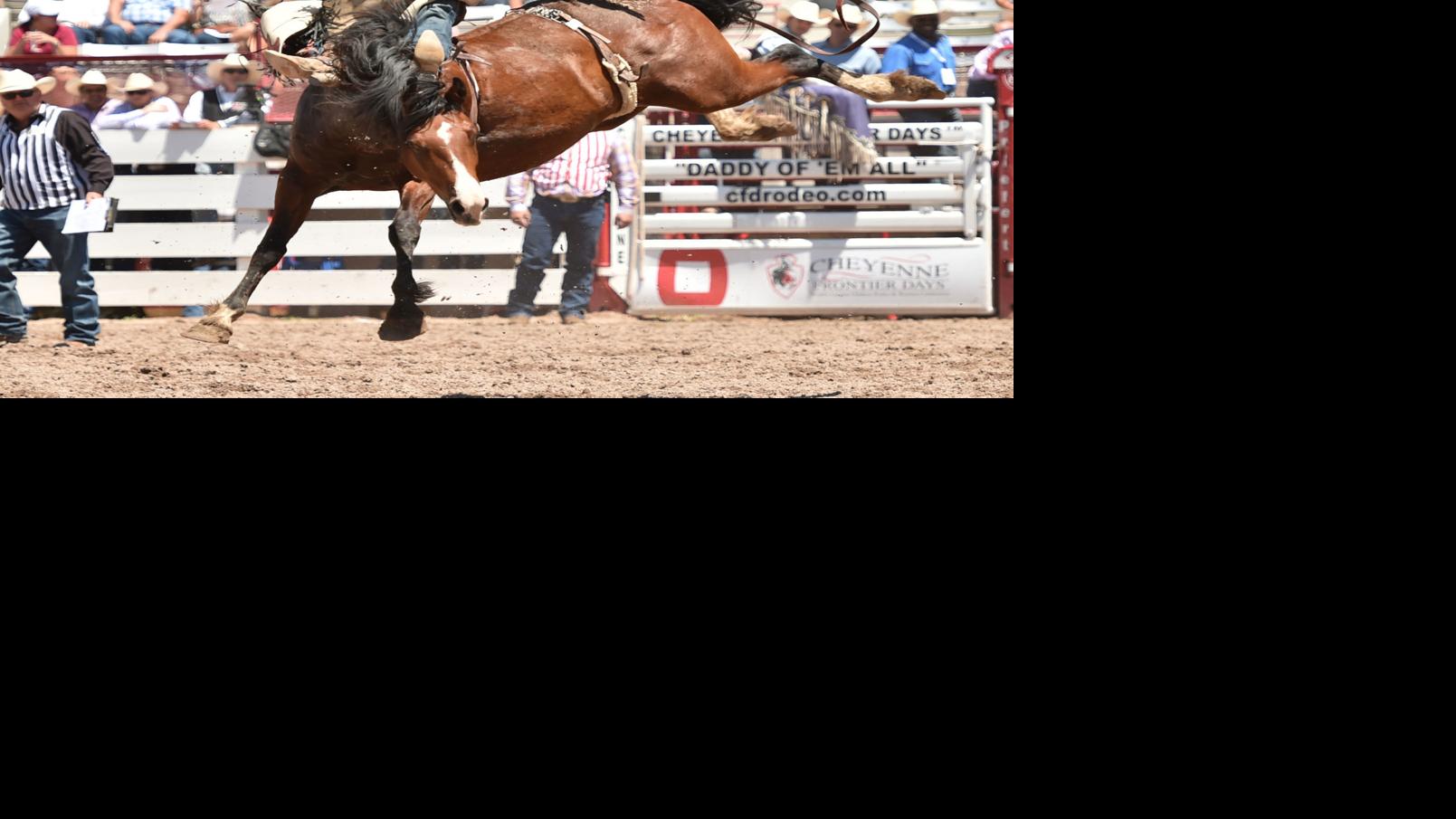 Cowboy competition | Sports | rapidcityjournal.com
