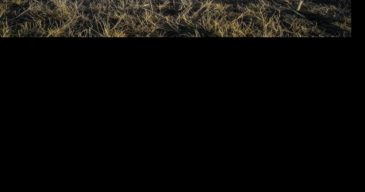 Officers investigating wanton waste of game birds