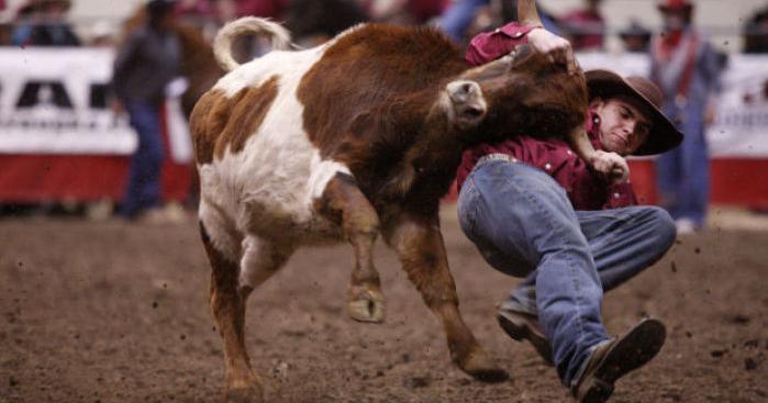 Best of the stock show — Benjamin Brayfield