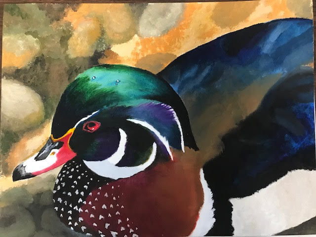 Junior Duck Stamp contest winners named