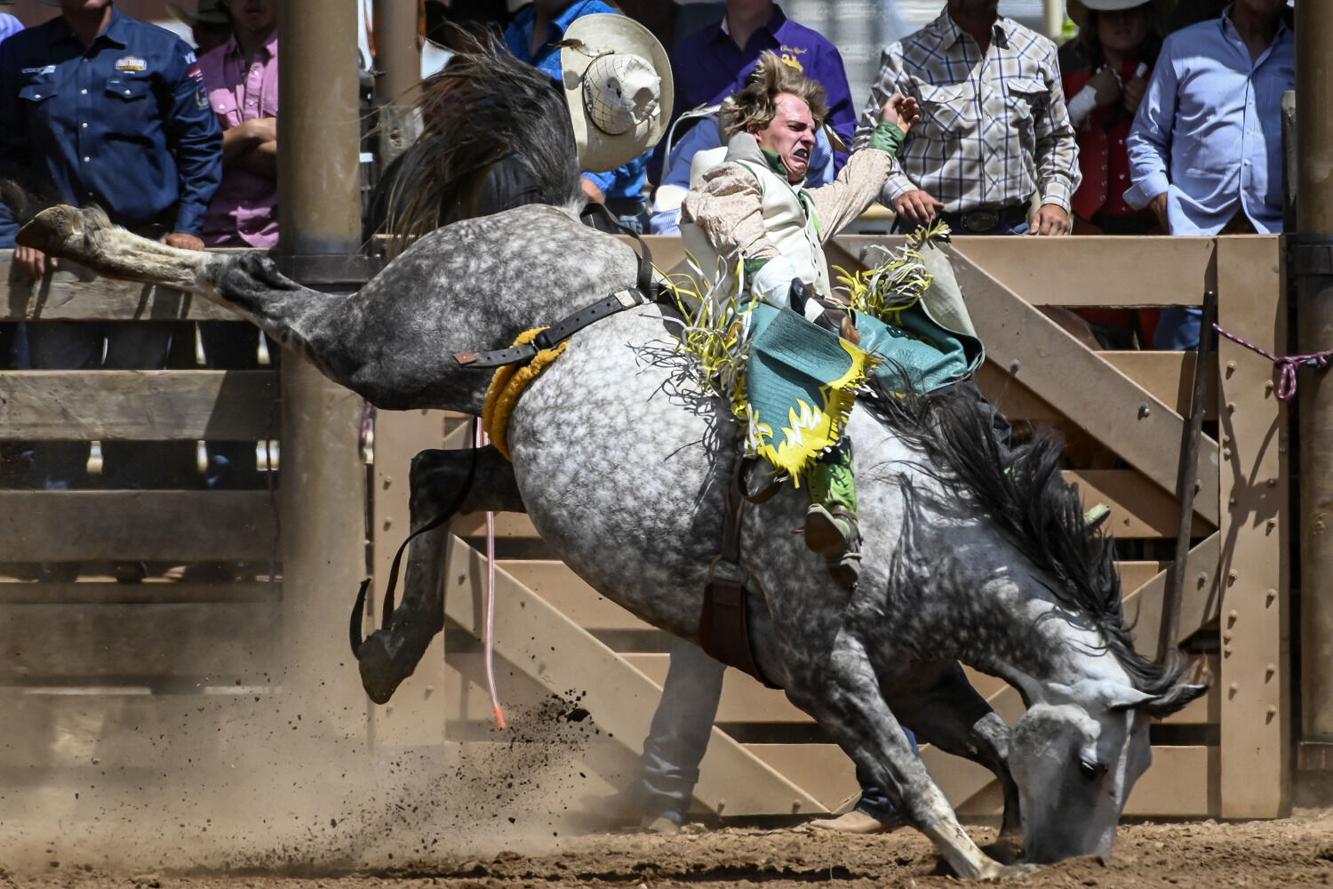 Rapid City's Cooper Wayne Filipek earns big pay-day in Rodeo Rapid City ...