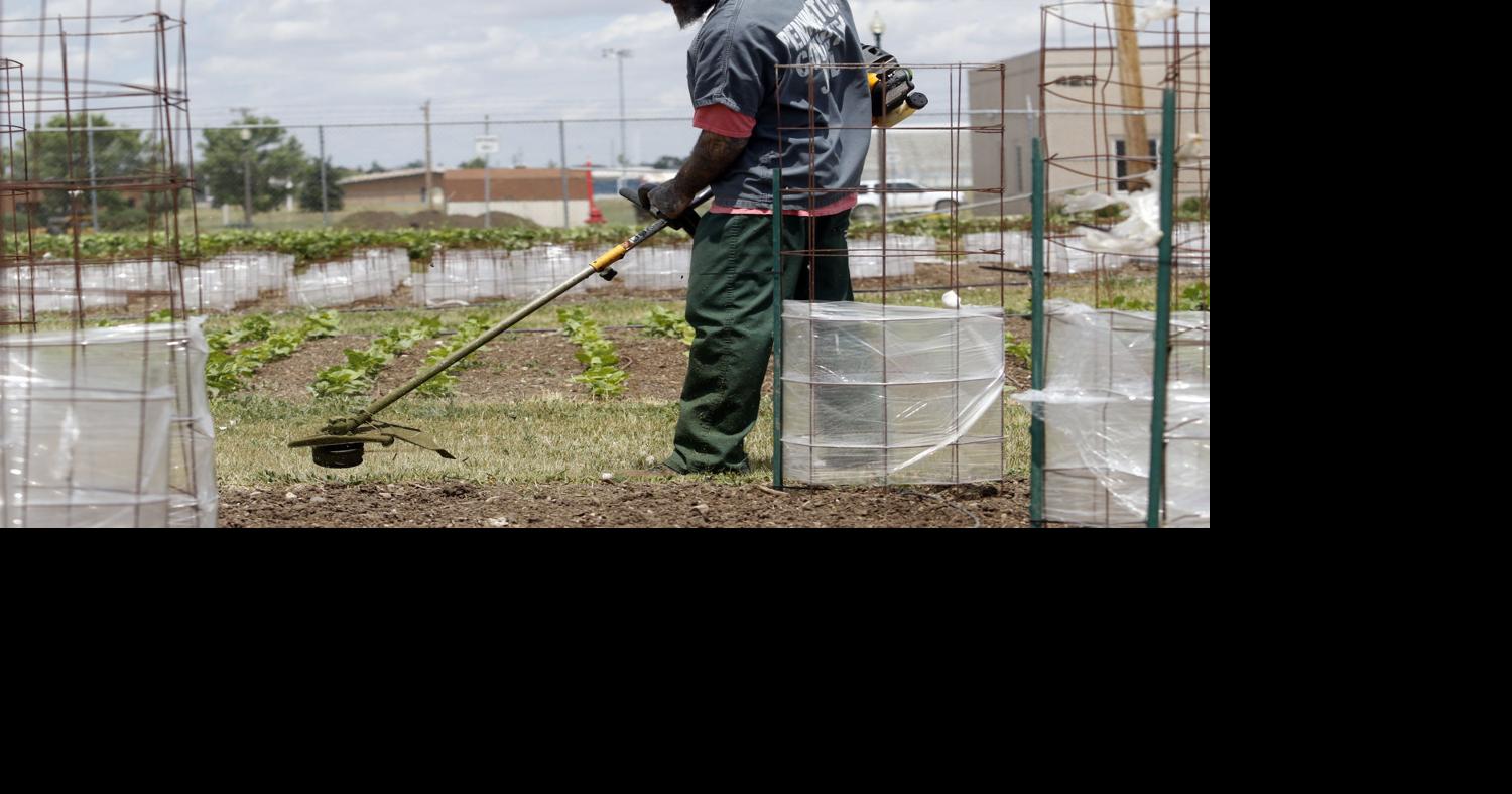 Jail garden grows more than just food