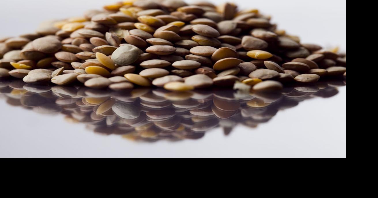 Experimental with the lentil