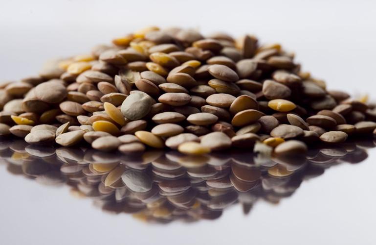 Experimental with the lentil