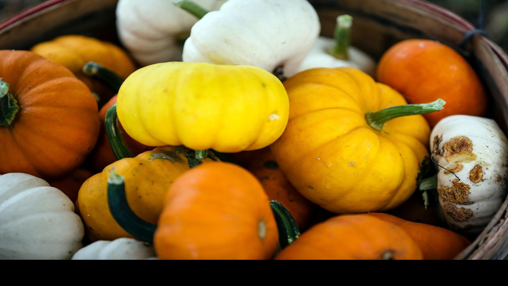 Rapid City | Local News | Rapid City News | rapidcityjournal.com