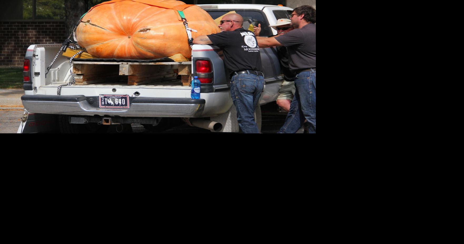 Big pumpkins, flying pumpkins, kids, dogs, music and crafts at Rapid ...