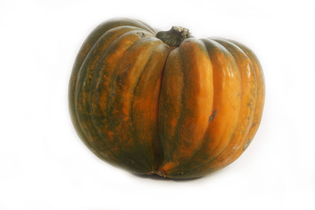 Squash squared, cubed, or pureed -- any way you slice it, it's delicious