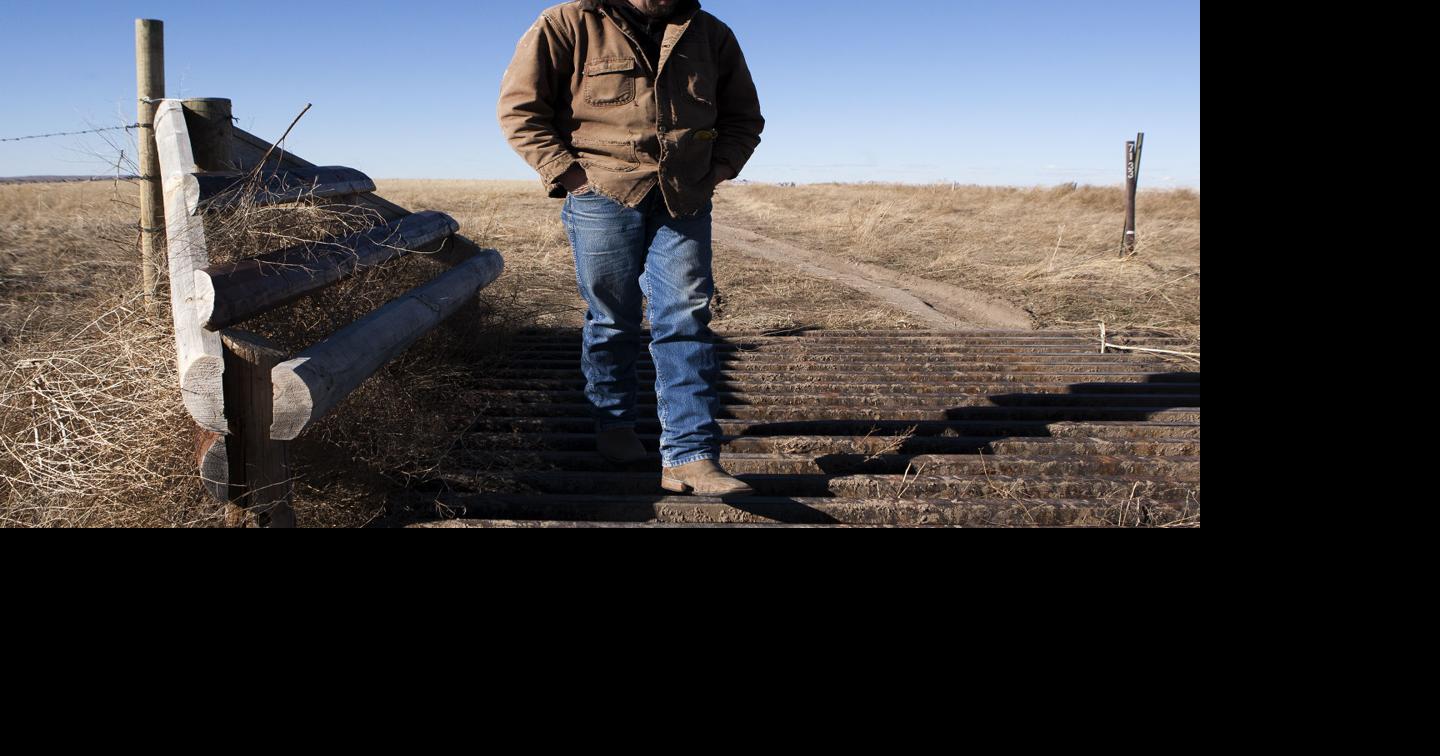 Cattle guards cause contention in Imlay