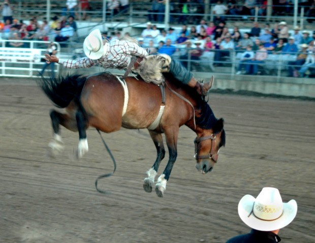 Rough stock riders romp in Roundup arena
