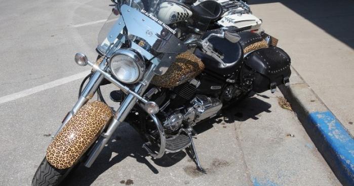 Animal print paint job
