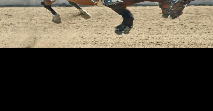 It’s rodeo season in Belle Fourche, Northern Hills