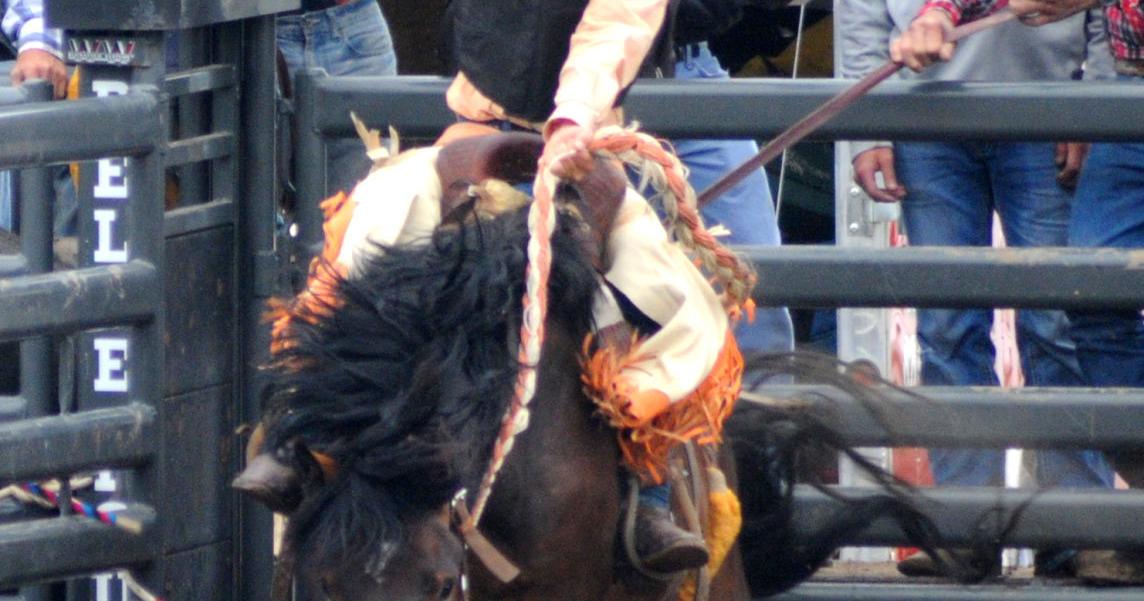 BHSU wins Dickinson rodeo, regional championship