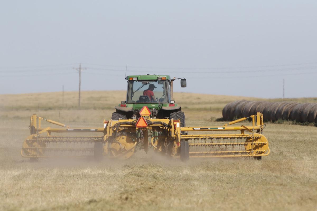 Livestock producers in dry conditions need to evaluate forage production