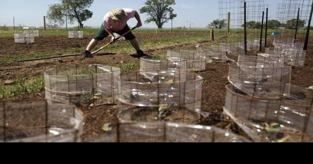Jail garden gives inmates chance to cultivate success