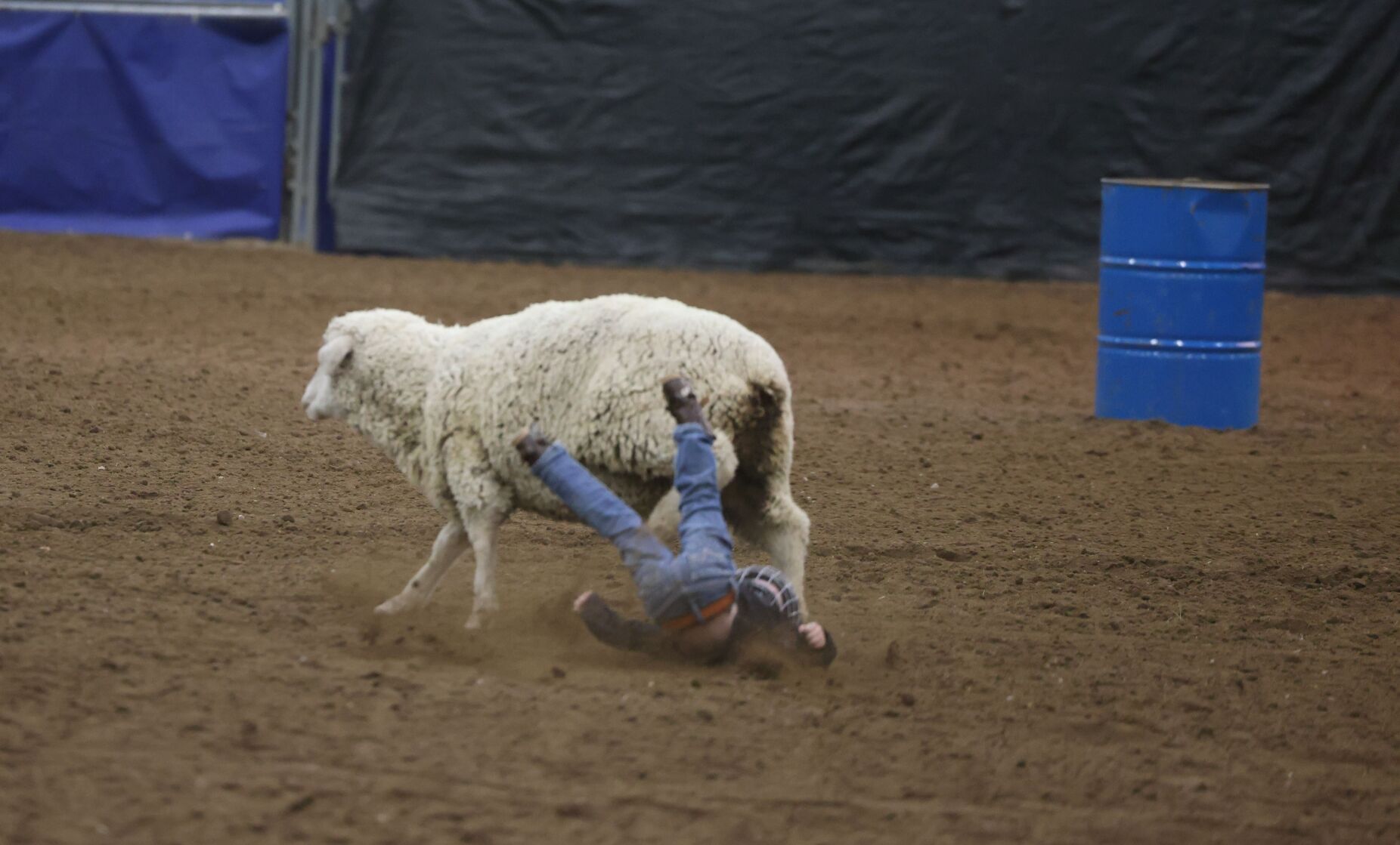 PHOTOS: Mutton Bustin‘ Championships at the Black Hills Stock Show & Rodeo