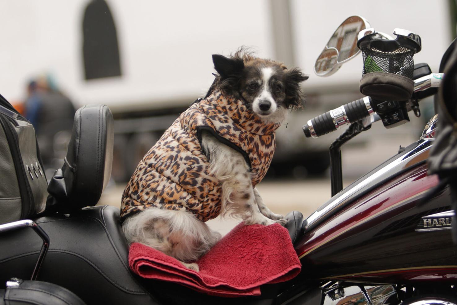 PHOTOS: Scenes from the Rally in Deadwood