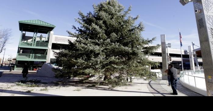Main Street Square welcomes holidays with 30 foot tree