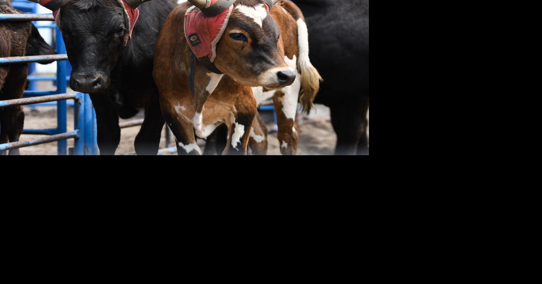2019 Sheridan County Fair Rodeo