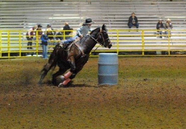 Little Britches spotlights top young regional rodeo talent