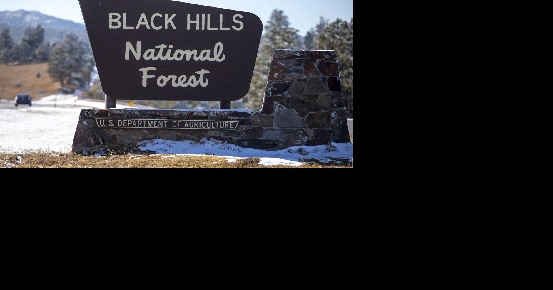 Forest officials seek public input on Mitchell Dam plan