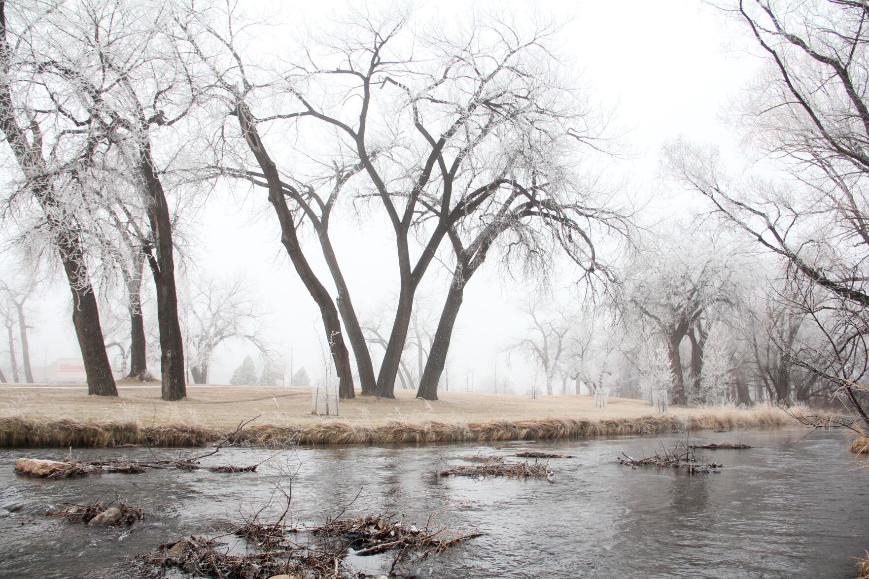 Photos of hoar frost clinging to the trees along Rapid Creek in Rapid City