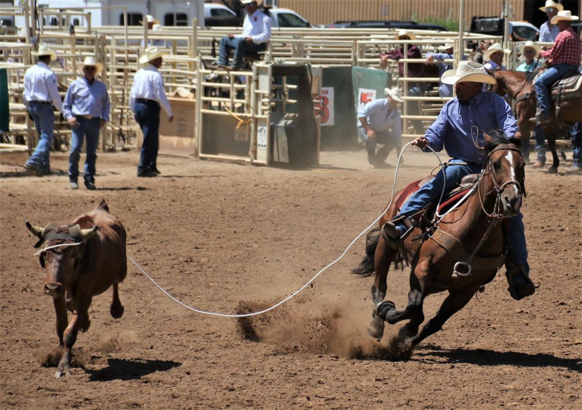 Steer ropers take on Deadwood for stand alone event