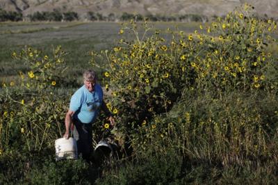 Ag subsidies in South Dakota